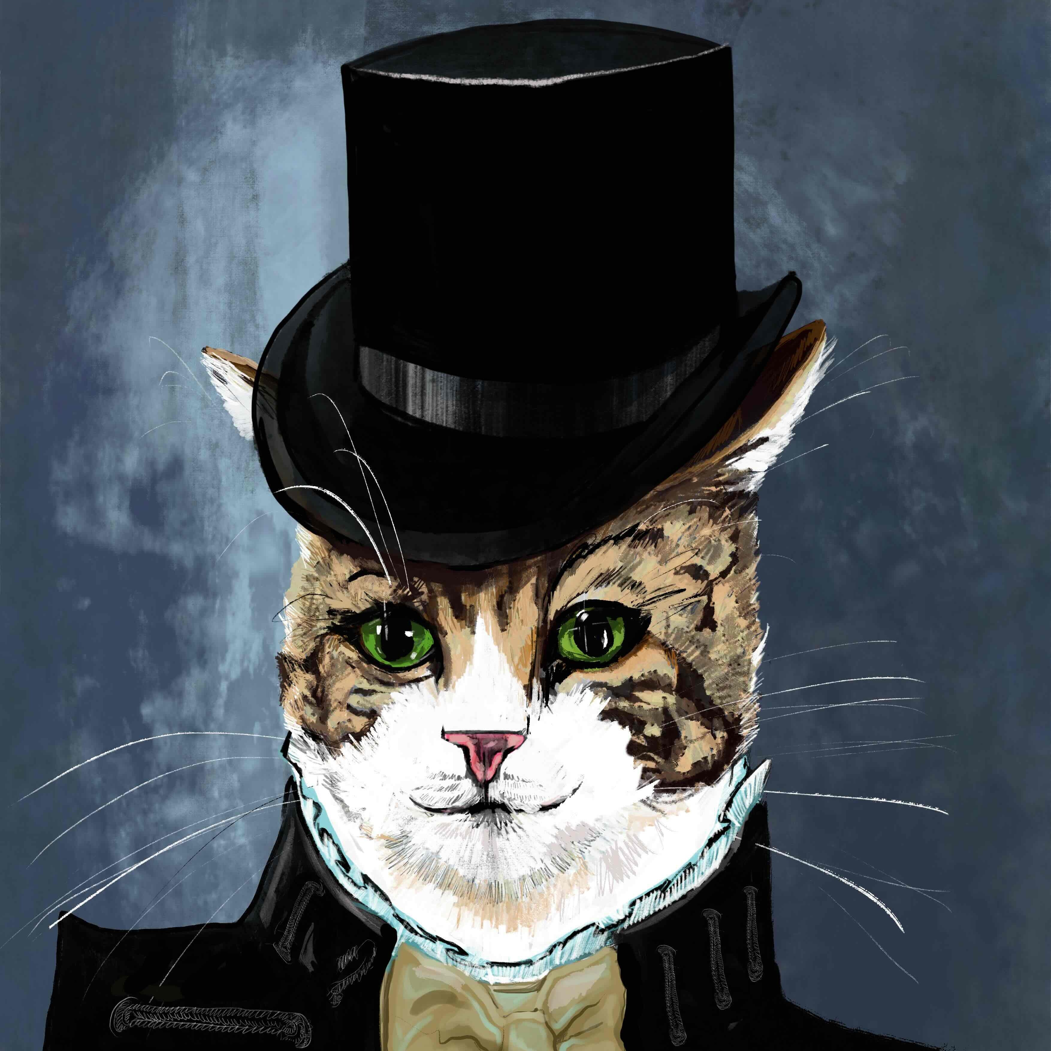 Gentleman Cat – Holdsworth House At Home